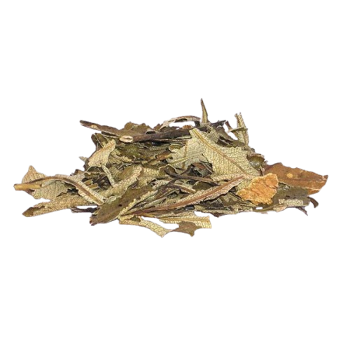 Yerba Santa Leaf – Yeyeo Botanica