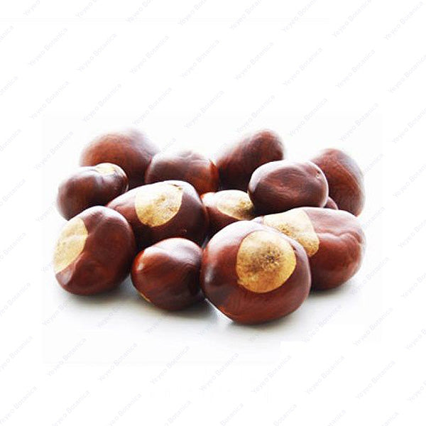 Buckeye Horse Chestnut – Yeyeo Botanica