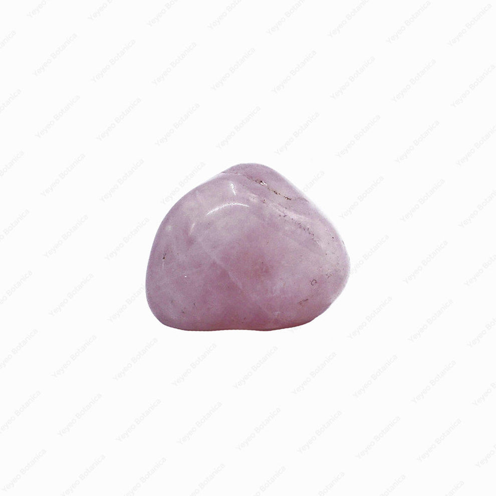Rose Quartz Tumbled – Yeyeo Botanica